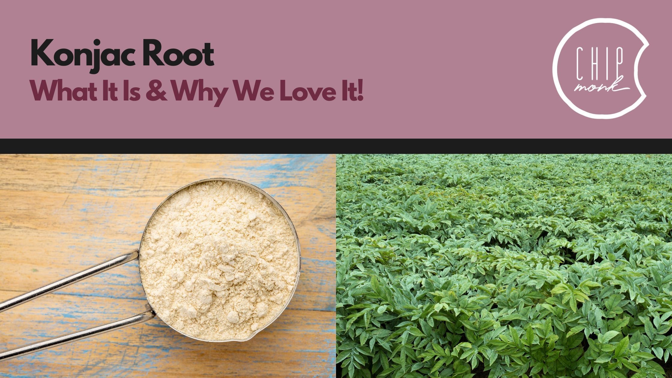 What is Konjac Root and Why we love it! – ChipMonk Baking